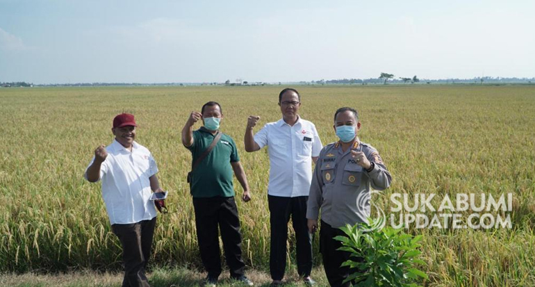 Ketum FKDB: Program FKDB on Farm Adalah untuk Kepentingan Kesejahteraan ...